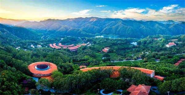 雁南飞 茶中情粤东首个5a级旅游景区 梅州雁南飞茶田有限公司